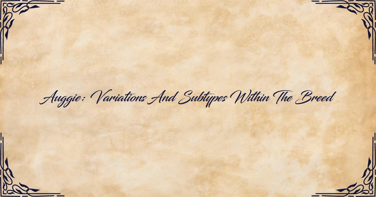 Variations and Subtypes within the Breed of Auggie