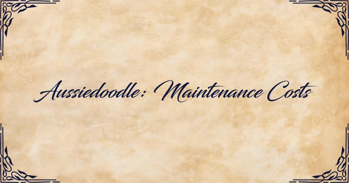 Maintenance Costs of Aussiedoodle