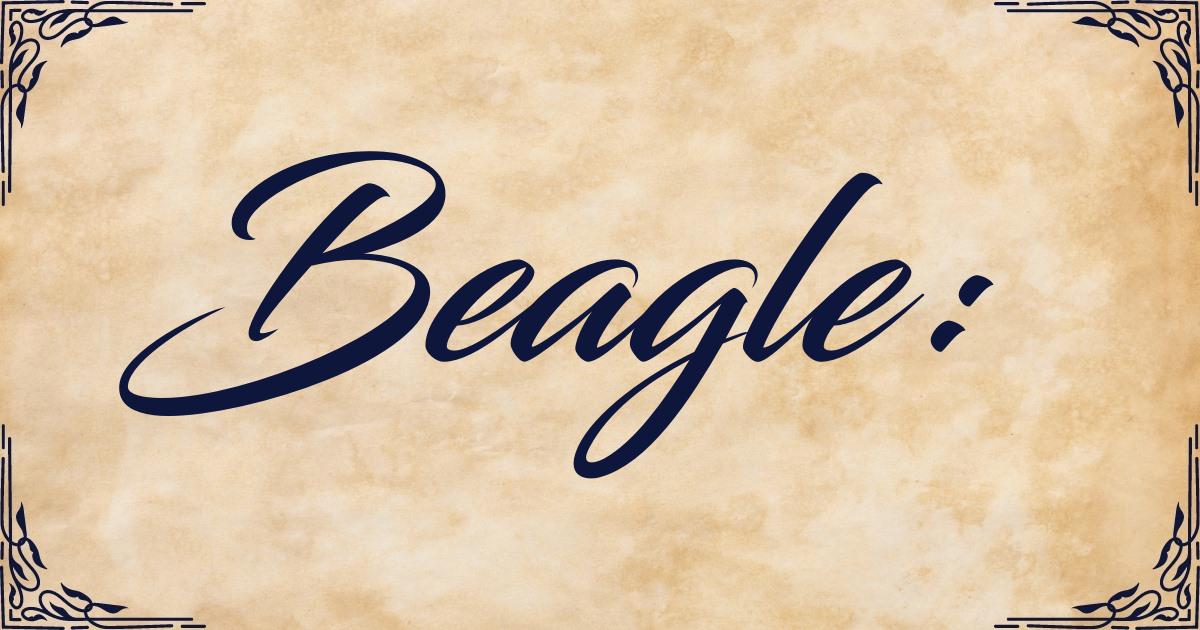 of Beagle