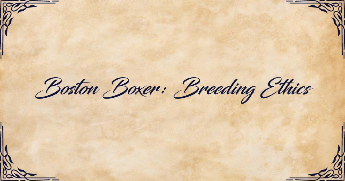 Breeding Ethics of Boston Boxer
