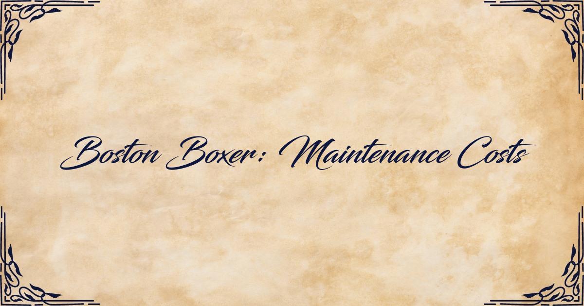 Maintenance Costs of Boston Boxer