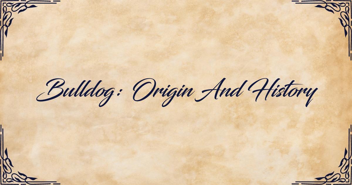 Origin and History of Bulldog