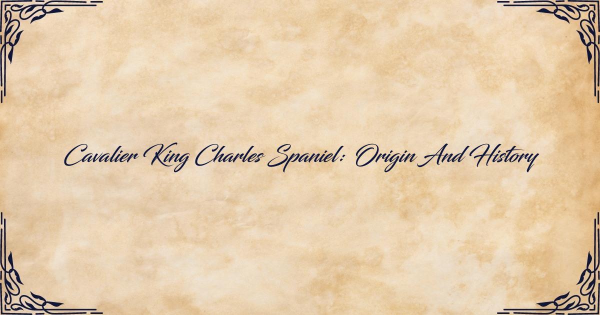 Origin and History of Cavalier King Charles Spaniel