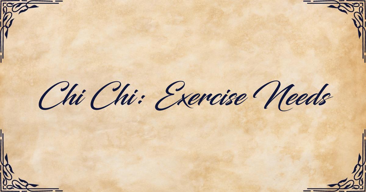 Exercise Needs of Chi Chi