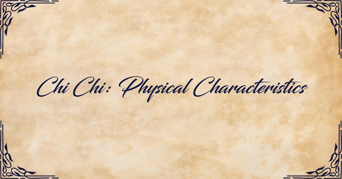 Physical Characteristics of Chi Chi