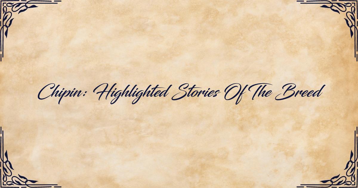 Highlighted Stories of the Breed of Chipin