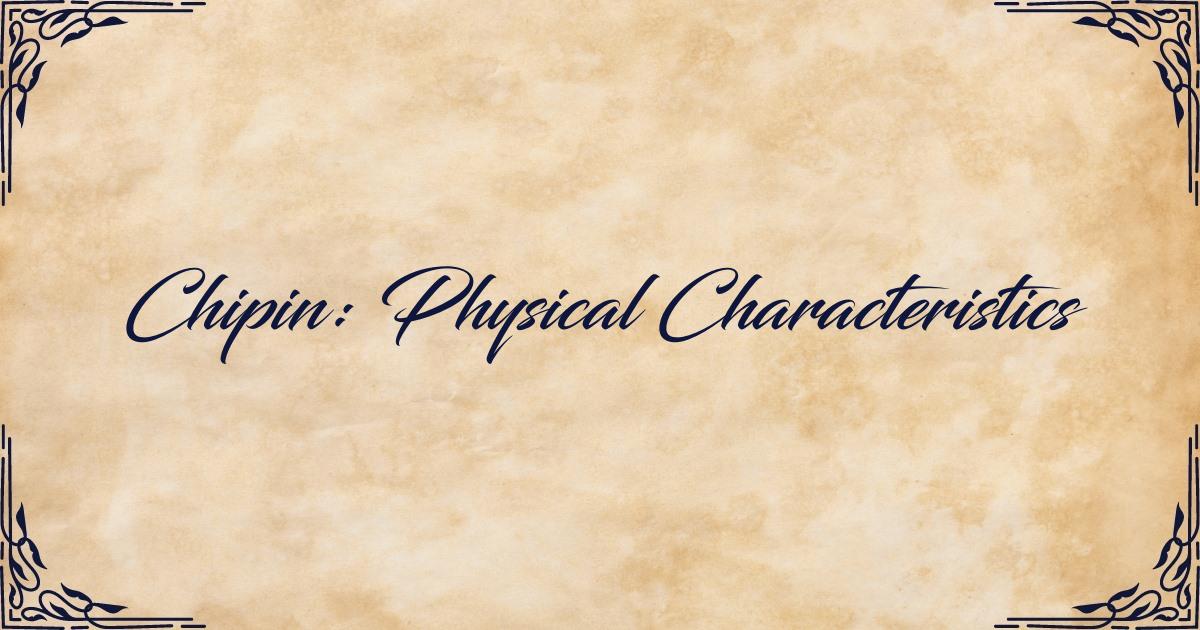 Physical Characteristics of Chipin