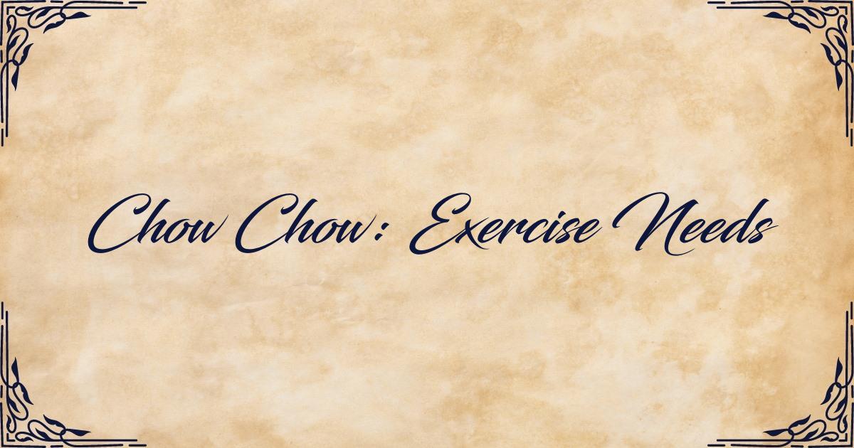 Exercise Needs of Chow Chow
