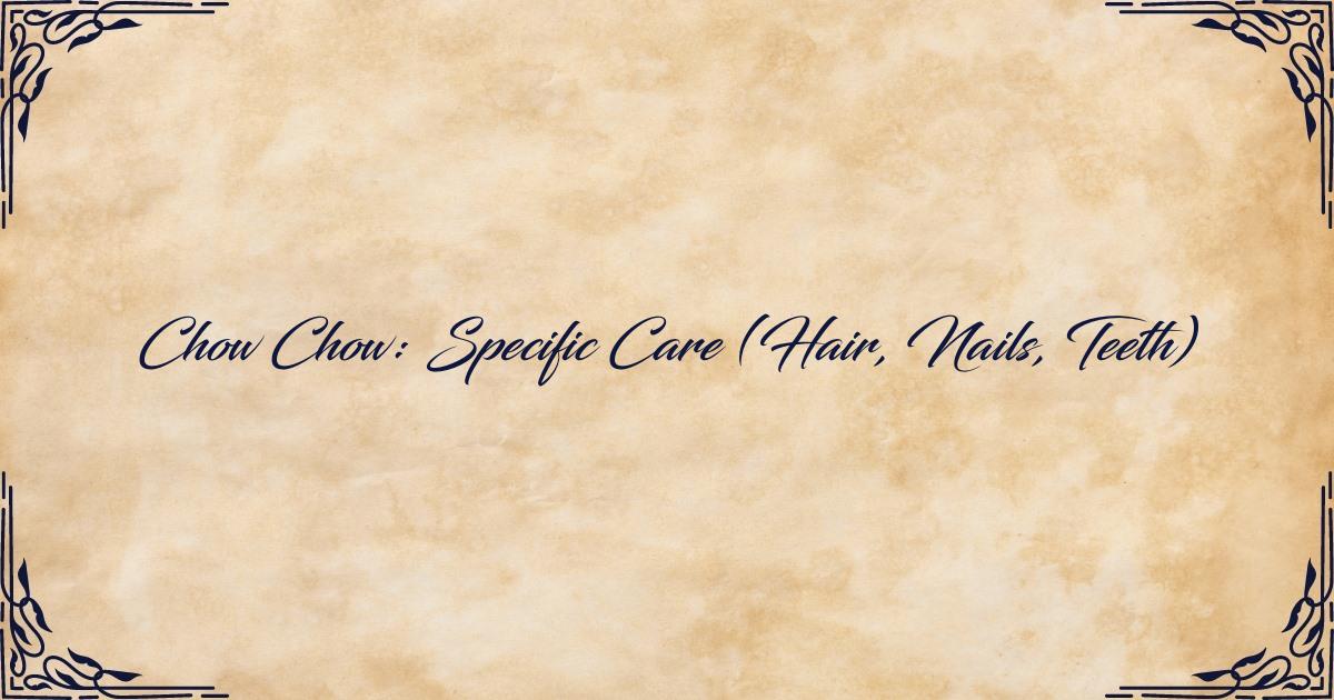 Specific Care (Hair, Nails, Teeth) of Chow Chow