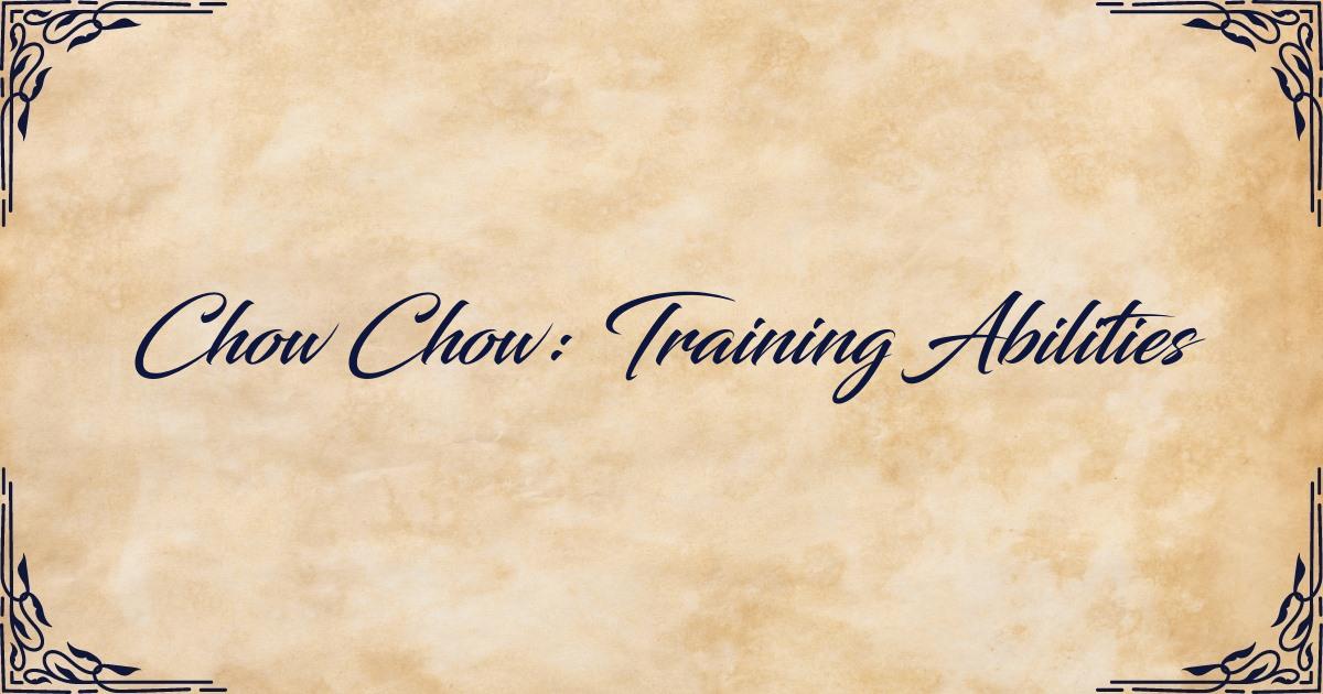 Training Abilities of Chow Chow