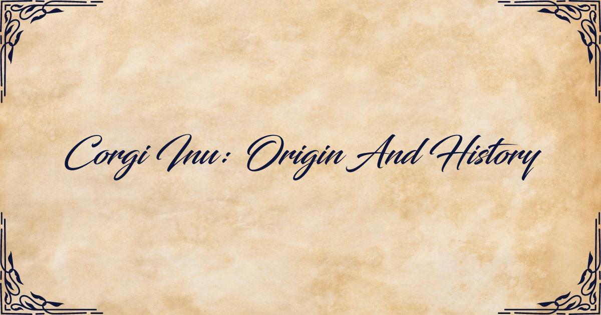 Origin and History of Corgi Inu