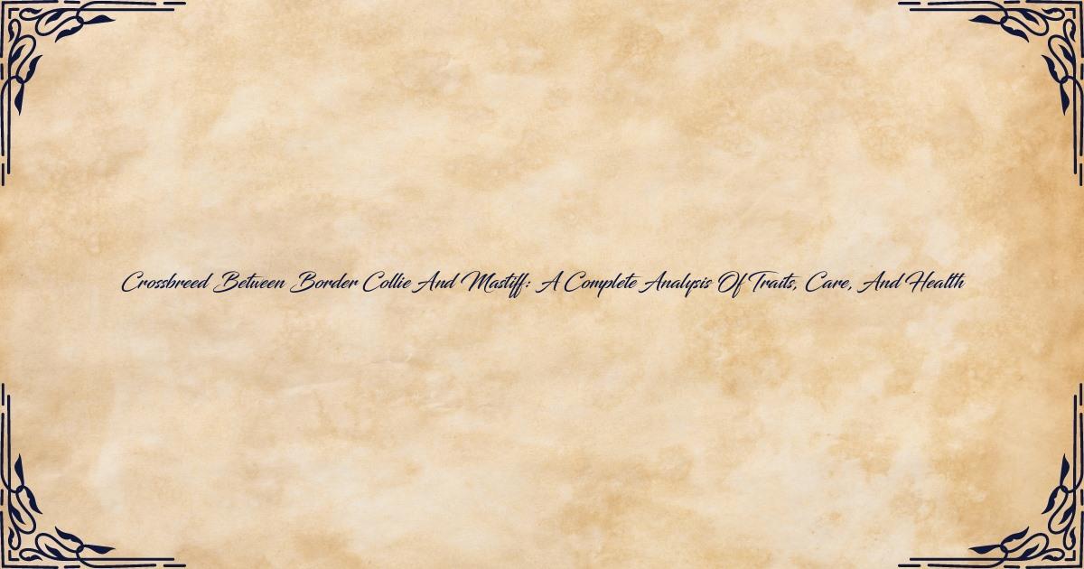 Crossbreed between Border Collie and Mastiff: Traits, Care, and Health