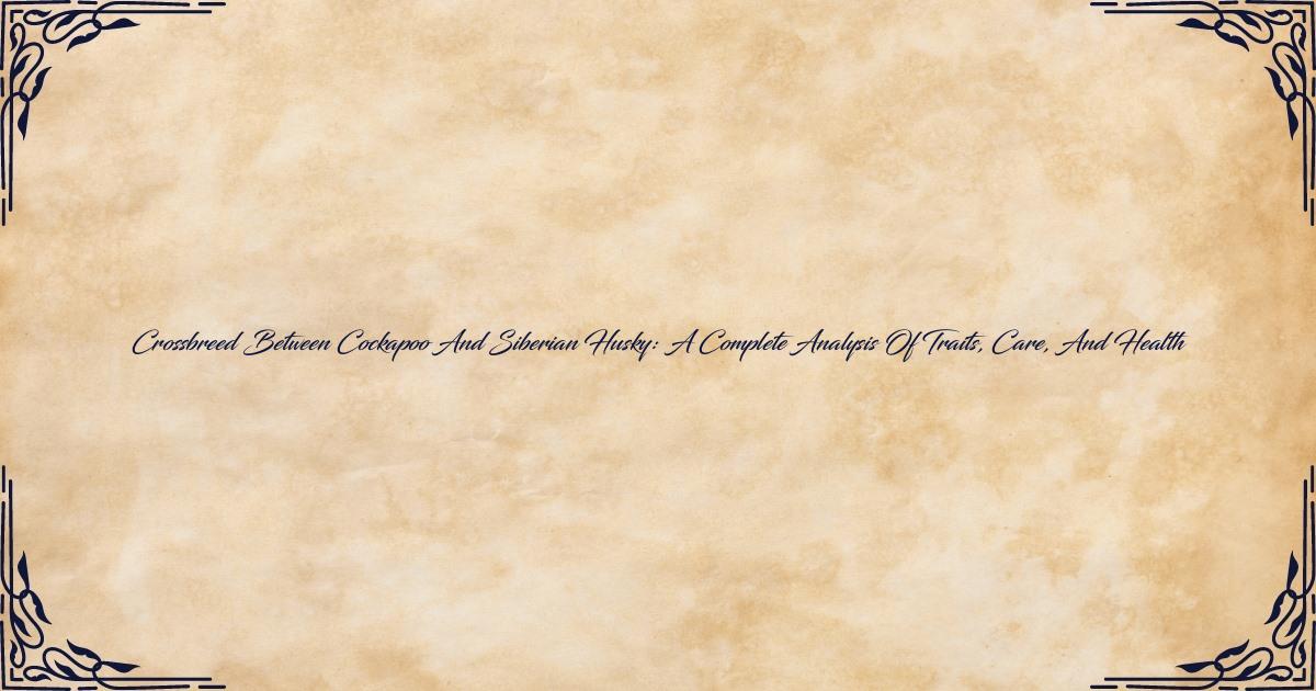 Crossbreed between Cockapoo and Siberian Husky: Traits, Care, and Health