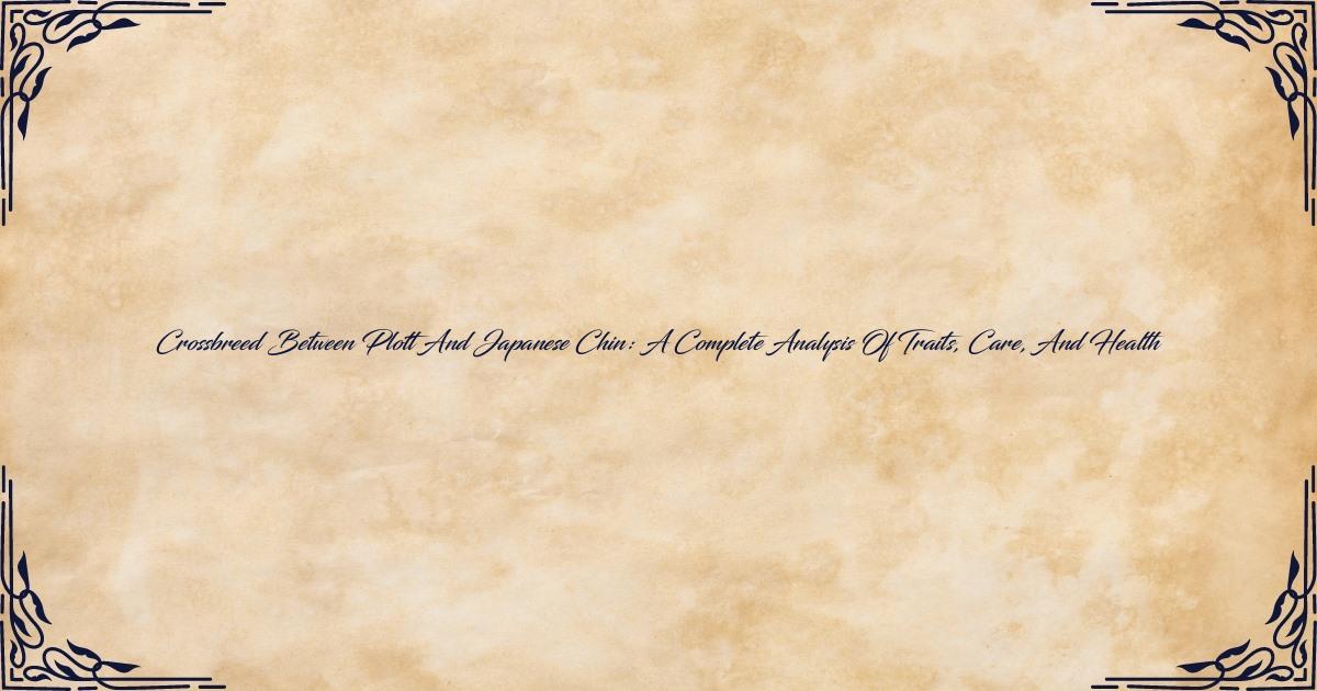 Crossbreed between Plott and Japanese Chin: Traits, Care, and Health