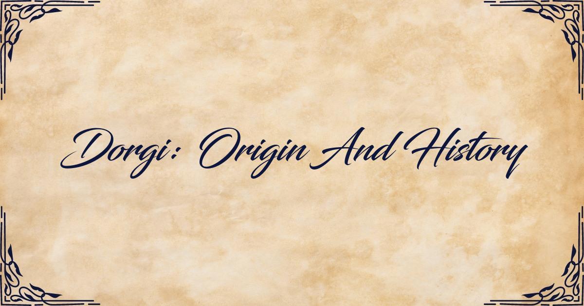Origin and History of Dorgi