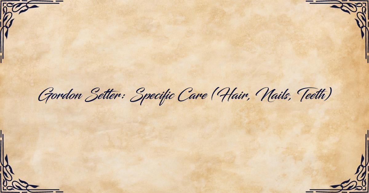 Specific Care (Hair, Nails, Teeth) of Gordon Setter