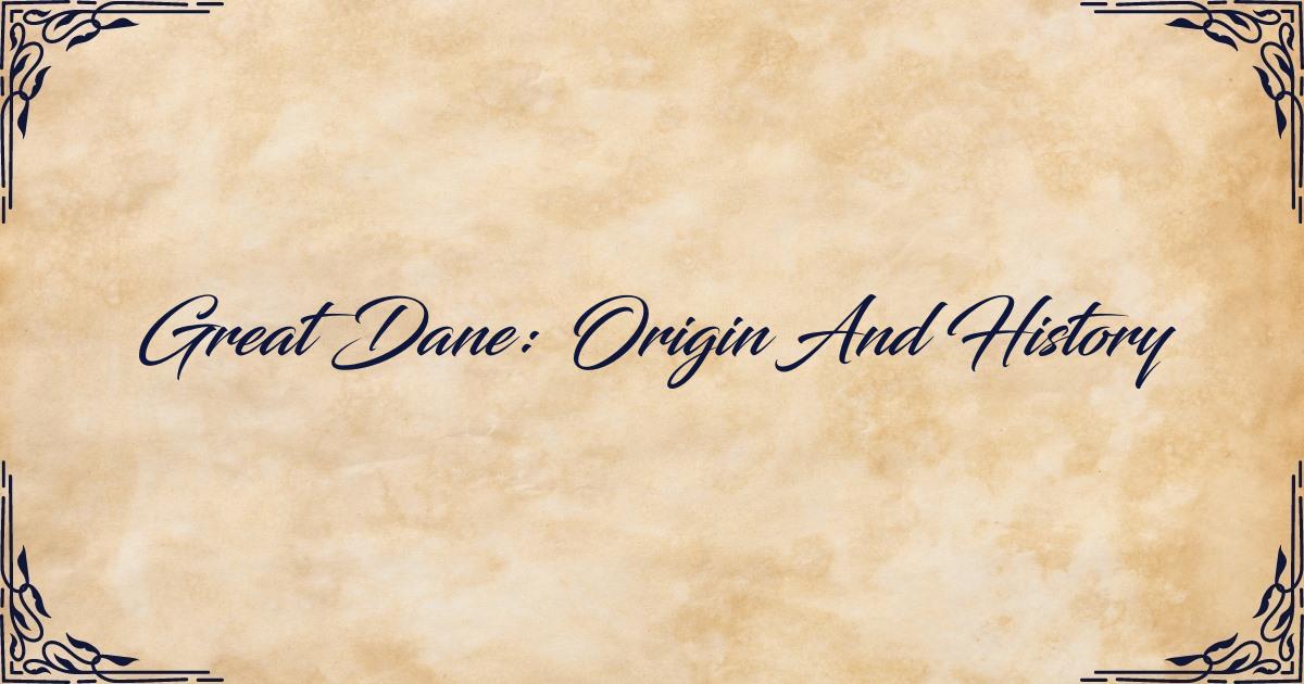 Origin and History of Great Dane