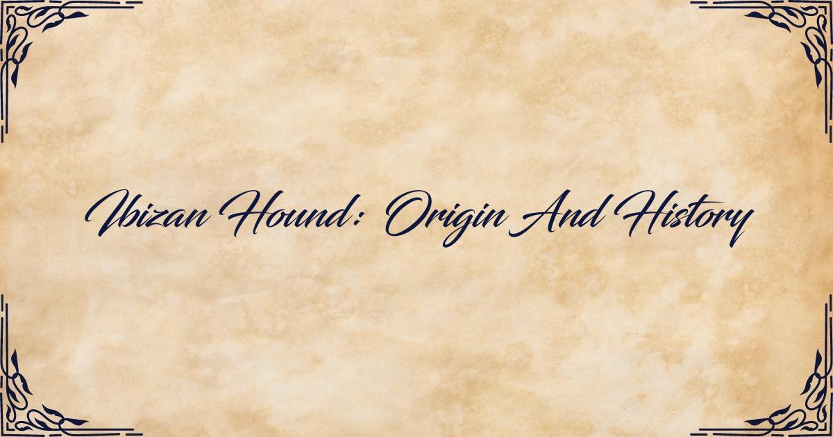 Origin and History of Ibizan Hound