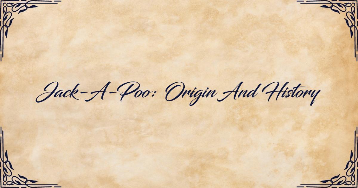 Origin and History of Jack-A-Poo