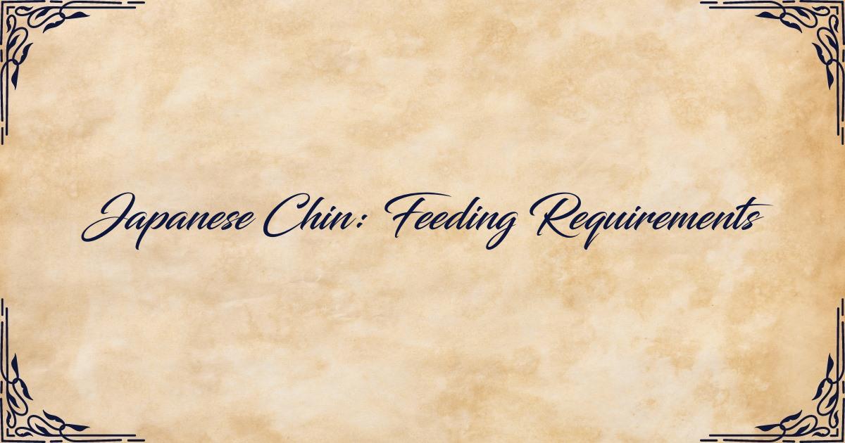 Feeding Requirements of Japanese Chin