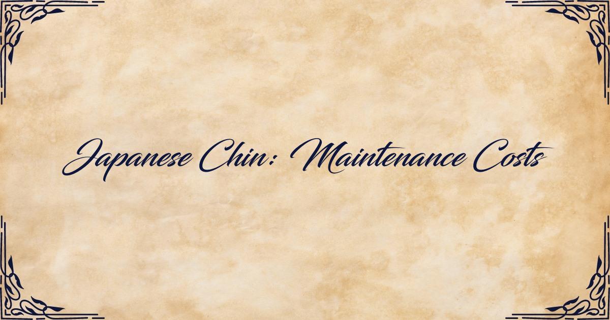 Maintenance Costs of Japanese Chin