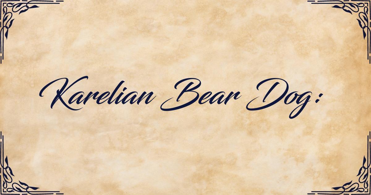 of Karelian Bear Dog