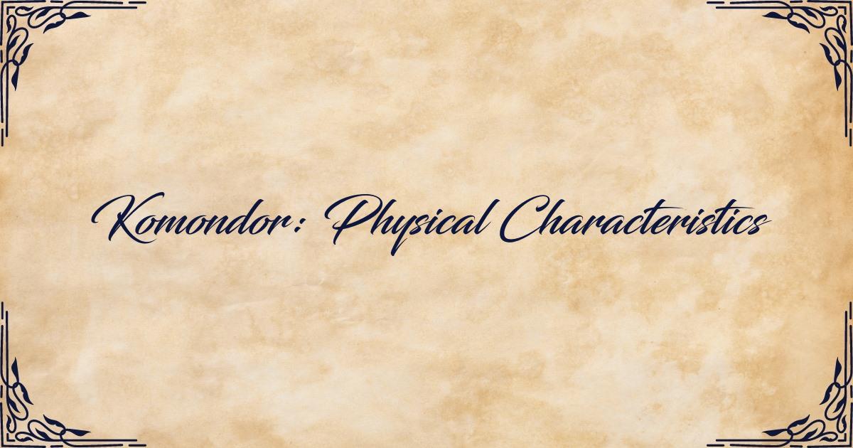 Physical Characteristics of Komondor