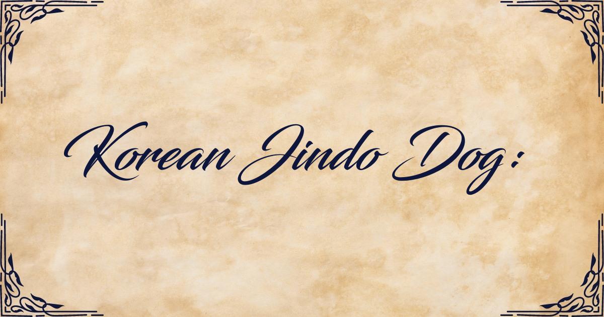 of Korean Jindo Dog
