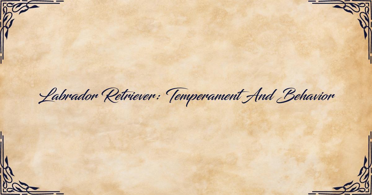 Temperament and Behavior of Labrador Retriever