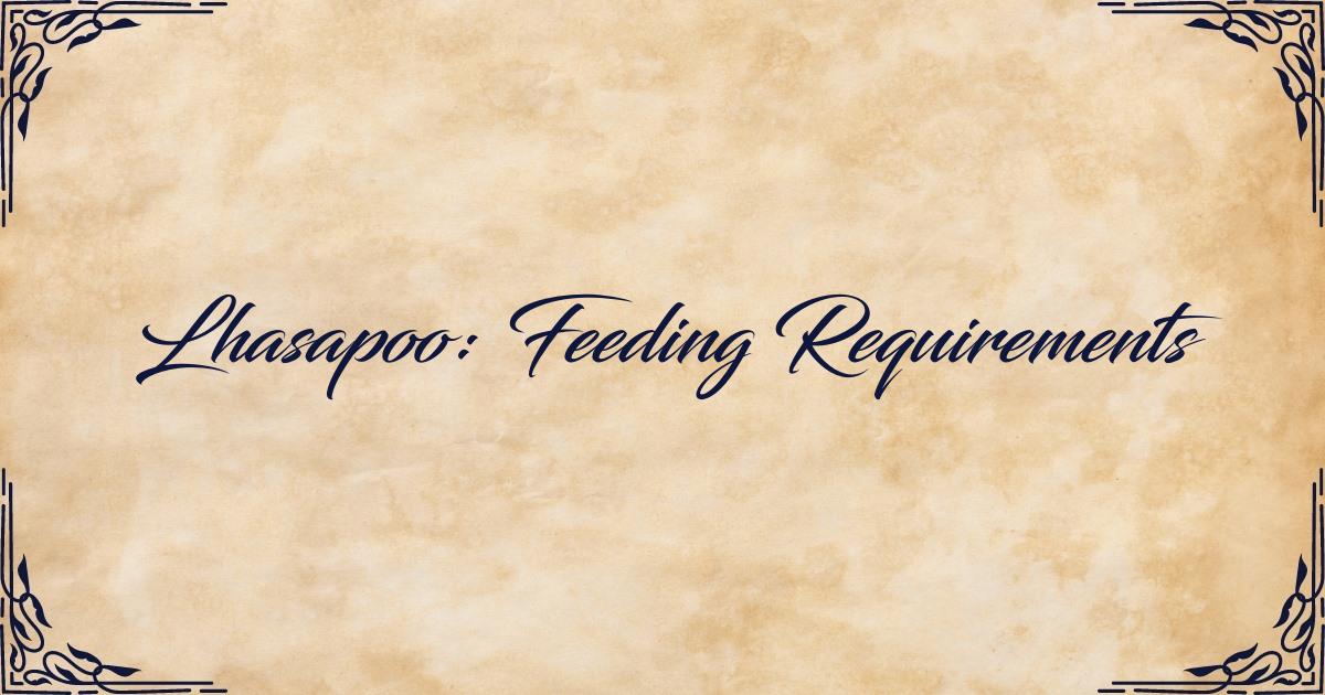 Feeding Requirements of Lhasapoo
