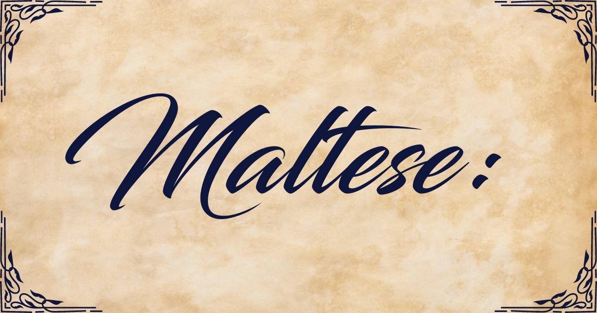 of Maltese