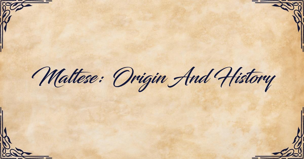 Origin and History of Maltese