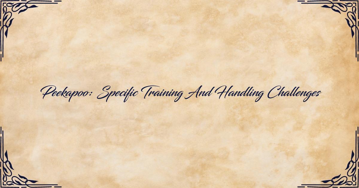 Specific Training and Handling Challenges of Peekapoo