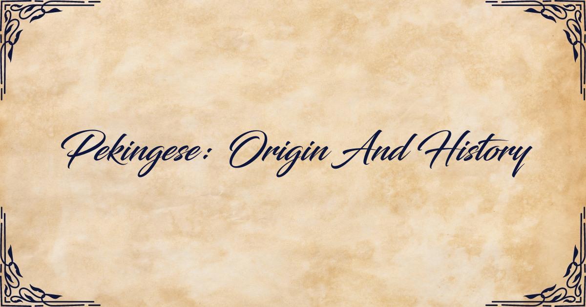 Origin and History of Pekingese