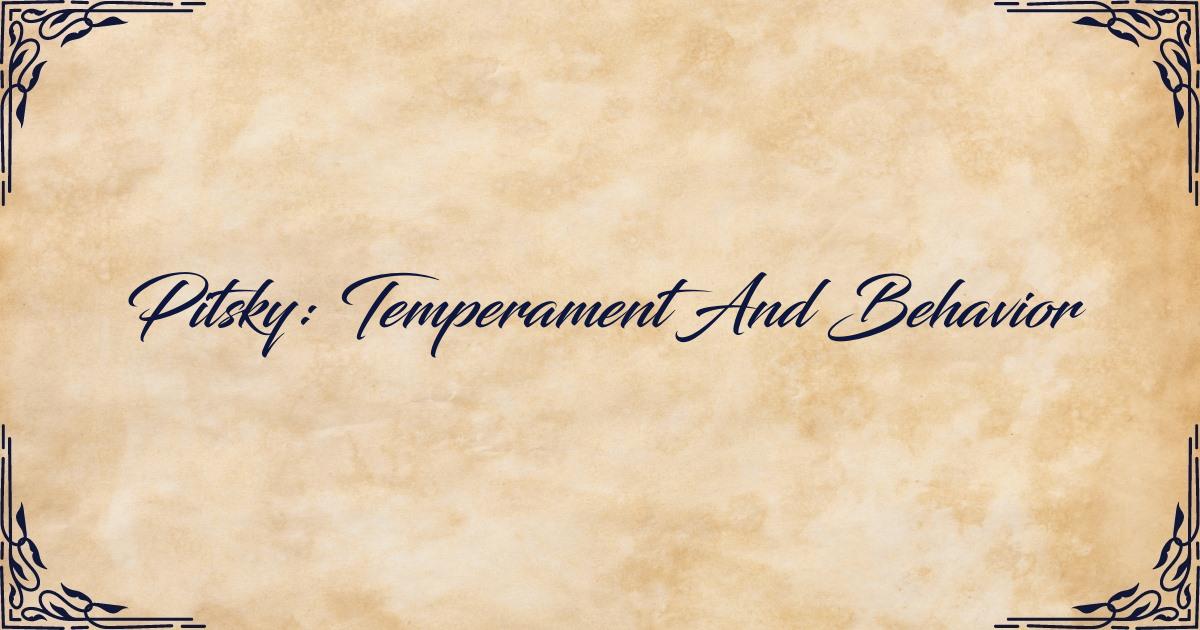 Temperament and Behavior of Pitsky