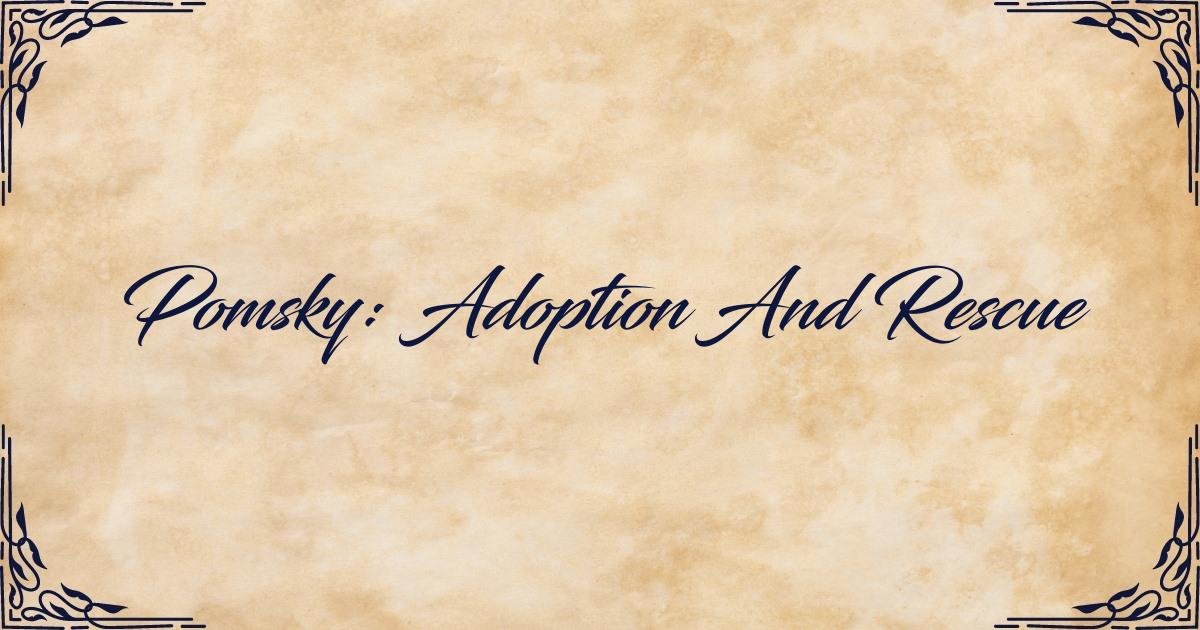 Adoption and Rescue of Pomsky