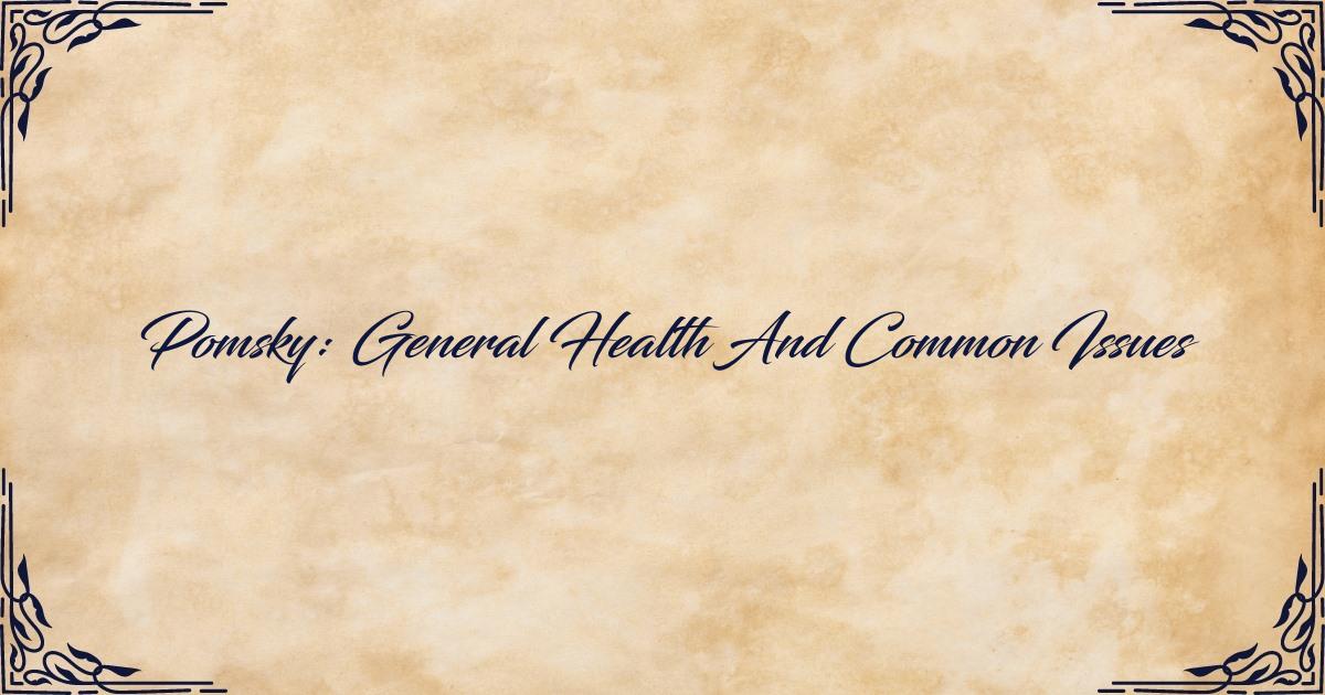General Health and Common Issues of Pomsky