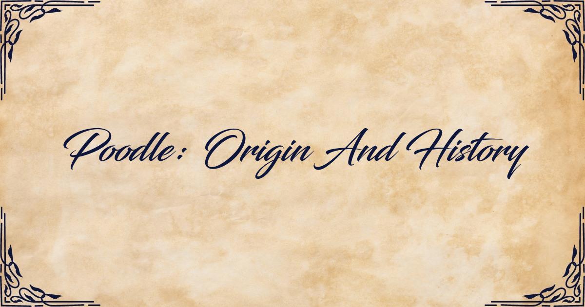 Origin and History of Poodle