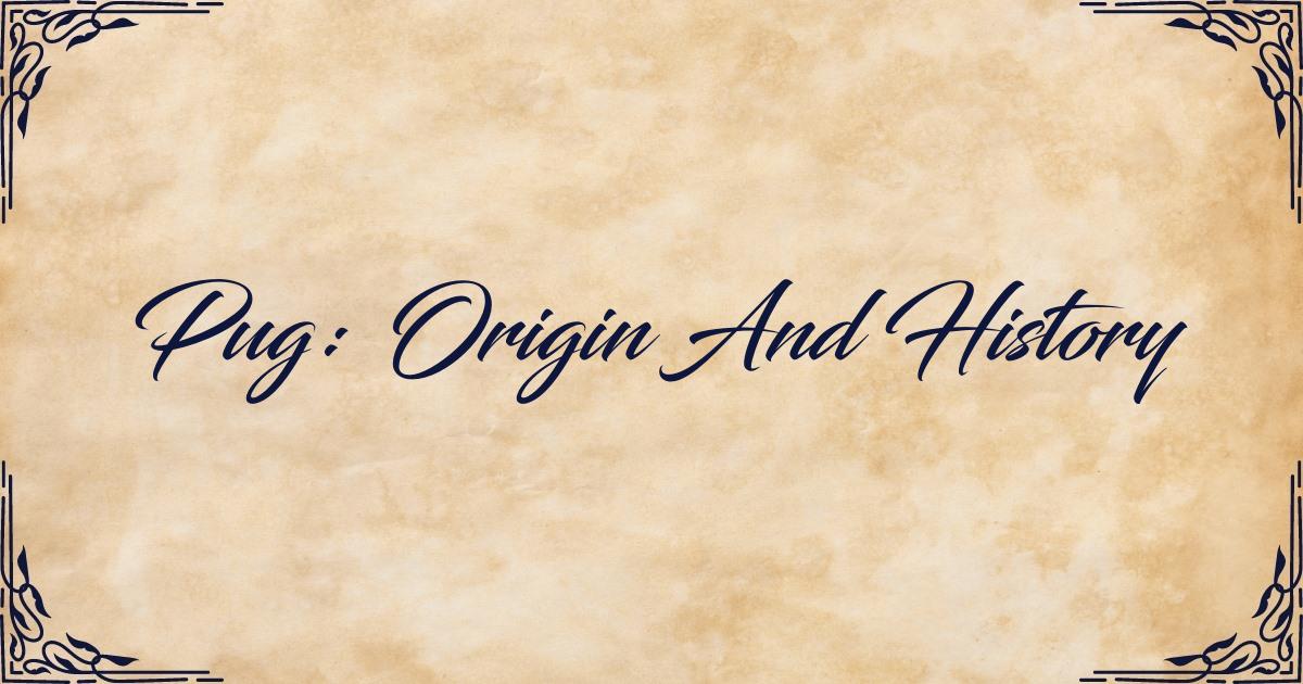 Origin and History of Pug