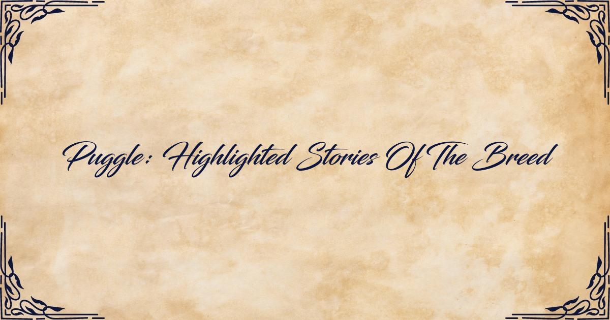Highlighted Stories of the Breed of Puggle