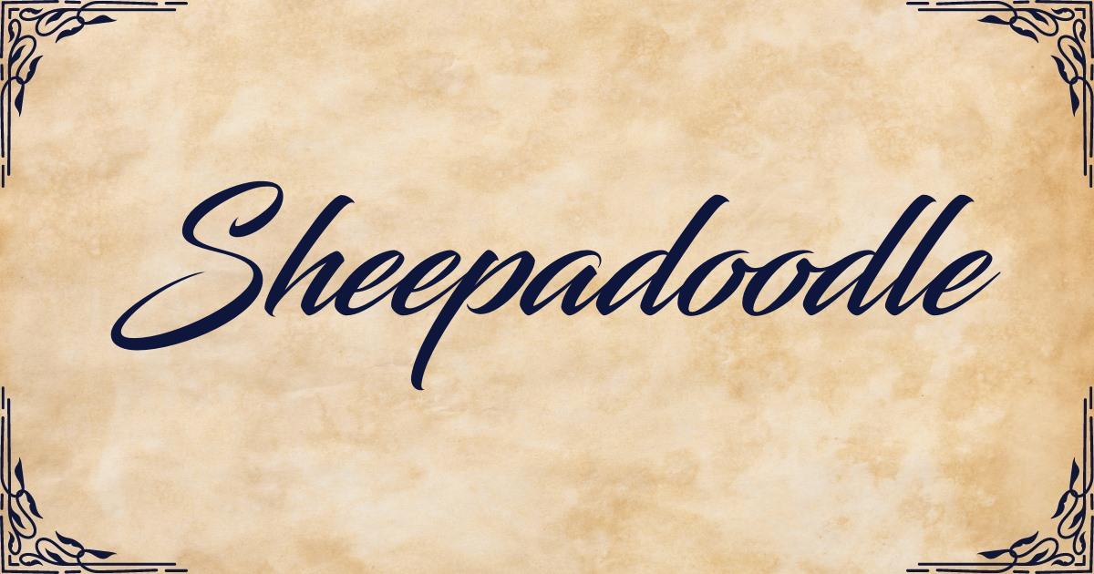 Sheepadoodle: Comprehensive Information on Characteristics, Care, and ...