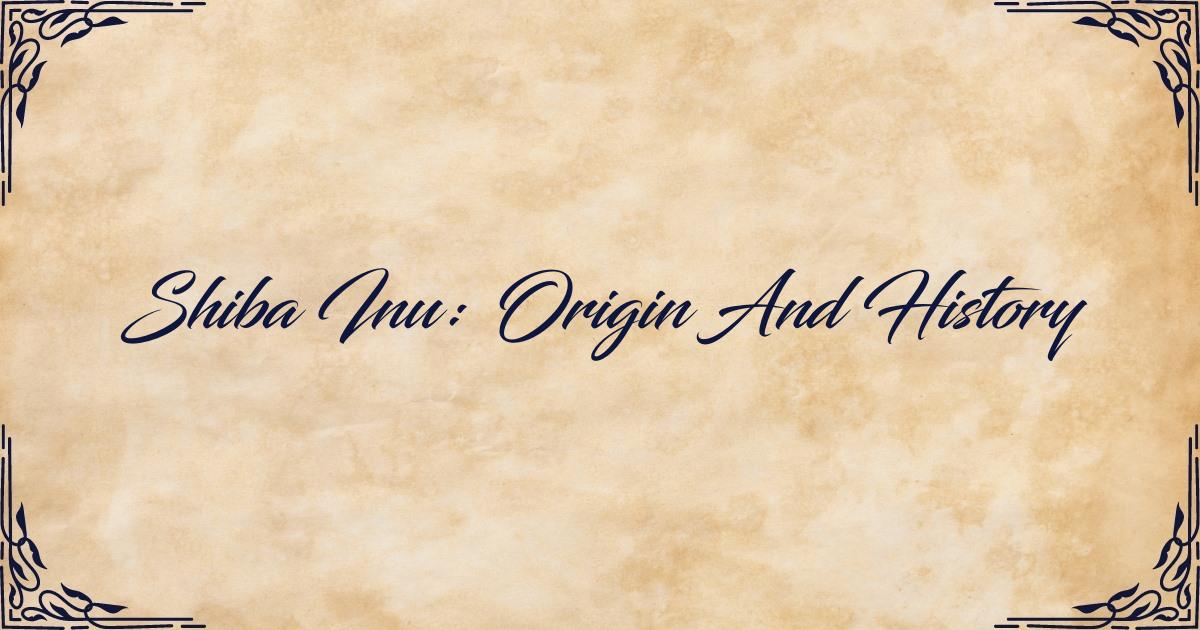 Origin and History of Shiba Inu