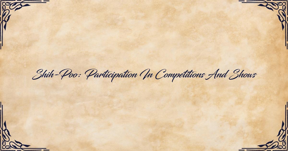 Participation in Competitions and Shows of Shih-Poo