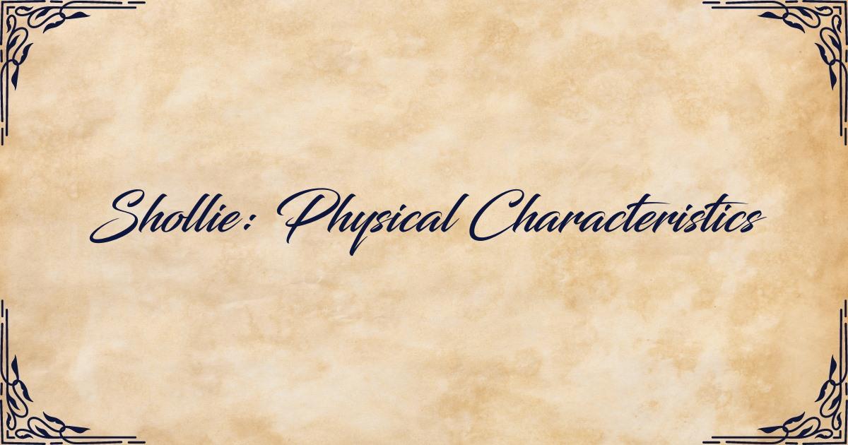 Physical Characteristics of Shollie