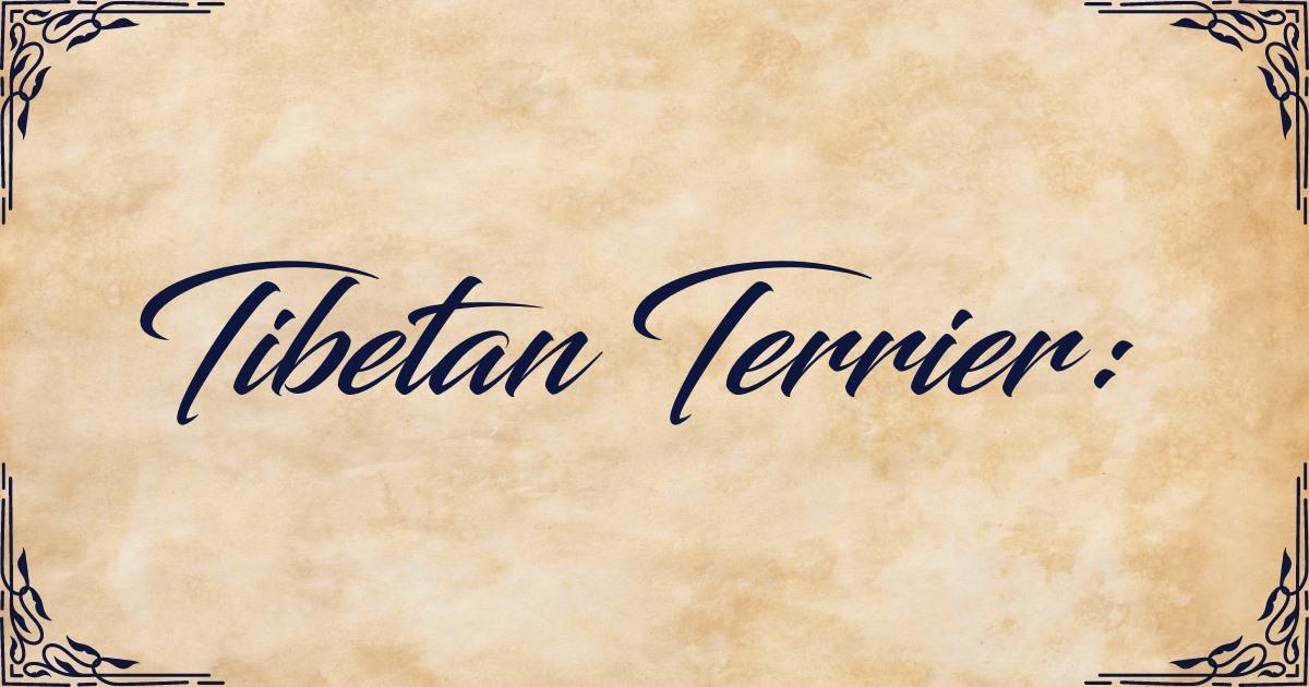 of Tibetan Terrier