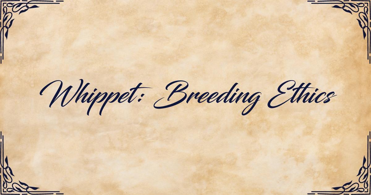Breeding Ethics of Whippet