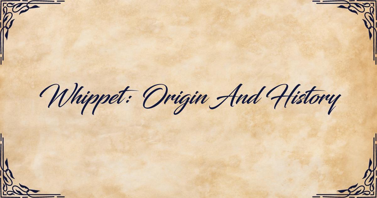 Origin and History of Whippet